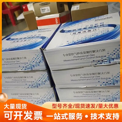 全新Sevenstar七星流量计CS200A，型号CS200