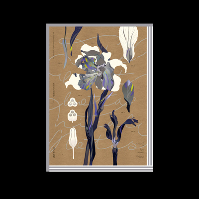 大逆转裁判涂鸦收录byrei