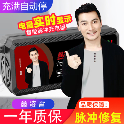 适用蓝贝电动车电瓶充电器48v12ah48v20/30ah60v72v三轮车96V