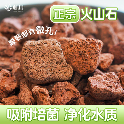 鱼缸专用天然火山石高效培菌