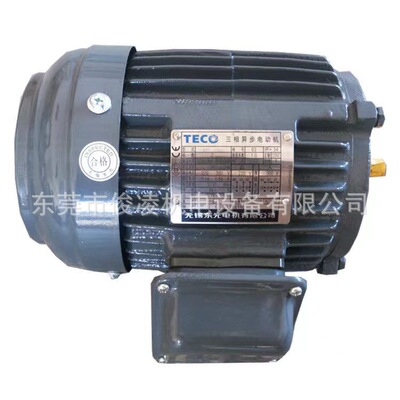 TECO现货东元马达 东元电机 AEEF2N-0.75KW