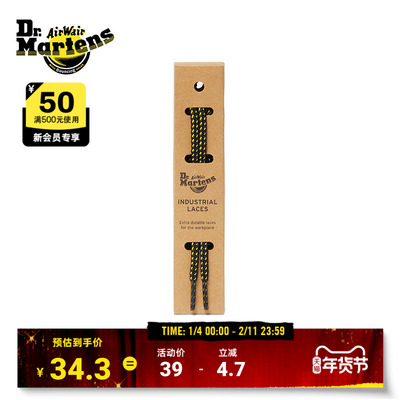 Drmartens马丁靴通用新款多色鞋