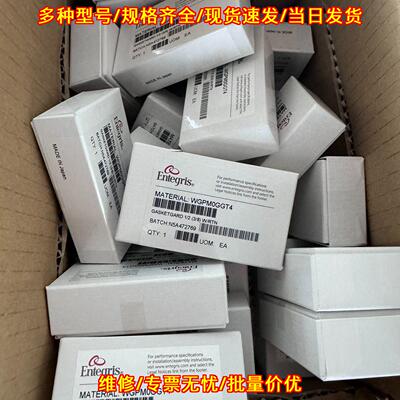 WGPM0GGT4 在线垫片过滤器 Gasketgard英特格议价维修