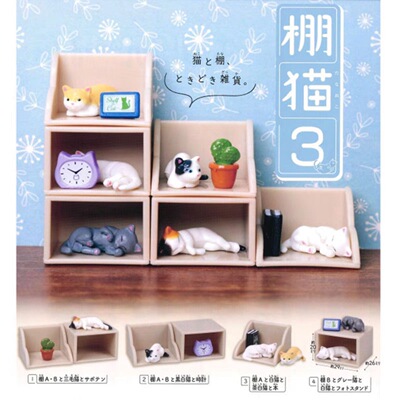 现货正版EPOCH日本Tarlin棚猫3扭蛋 书柜上的猫咪微缩模型 摆件