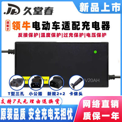 领牛电动车电瓶车充电器