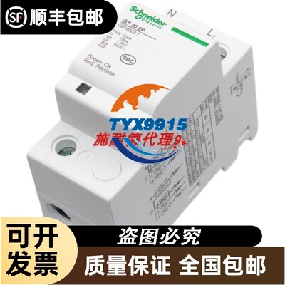 家用电涌保护器iPRU 2P 100KA 350V防雷A9L100200