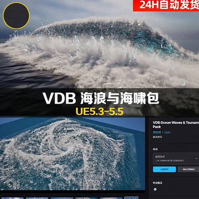UE5/VDB Ocean Waves & Tsunami Pack-VDB 海浪与海啸浪花特效包