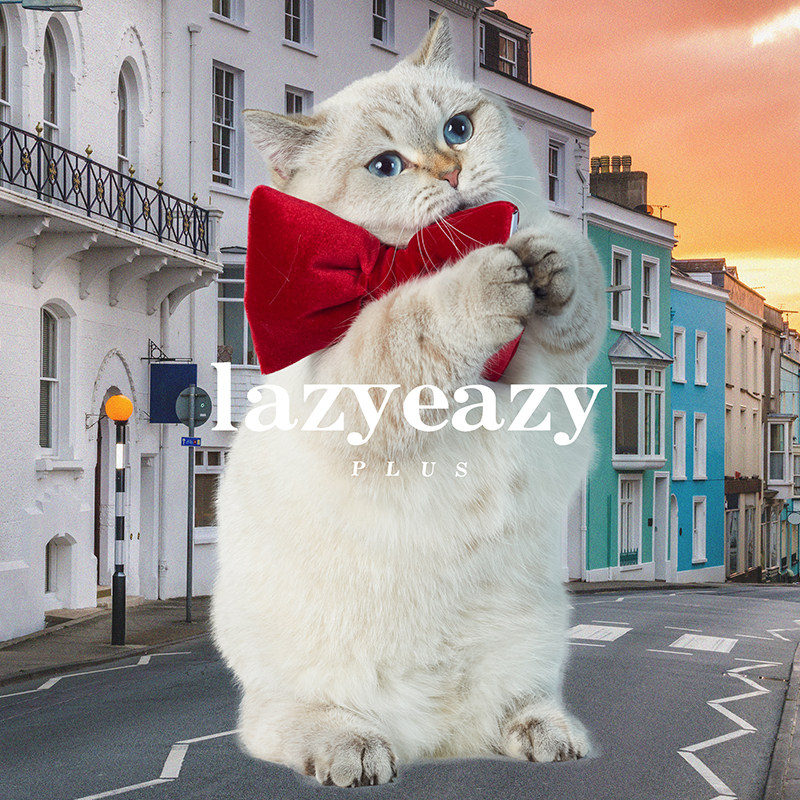 LazyEazy宠物小猫狗丝绒蝴蝶结节日领结气氛可调节充棉可爱拍照_虎窝淘