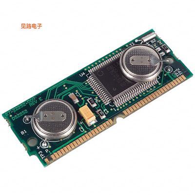 DS2250-64-16# -[全新IC MCU 8BIT 64KB NVSRAM 40SIMM]