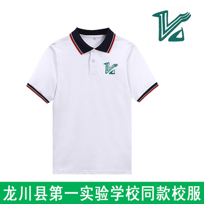 龙川县第一实验学校校服套装高初中学生校服上衣开学班服翻领短袖