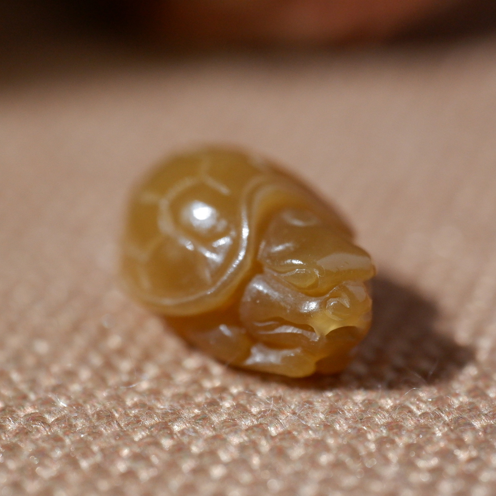 王实斋珠宝/新疆和田玉糖玉龙龟挂件吊坠油润带证书小XY135