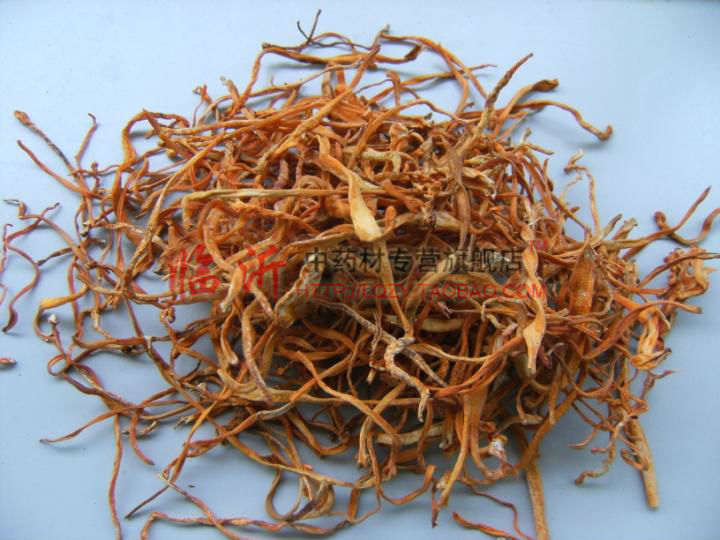 中药材 北虫草 虫草花 金虫草 蛹虫草 新货500克包邮