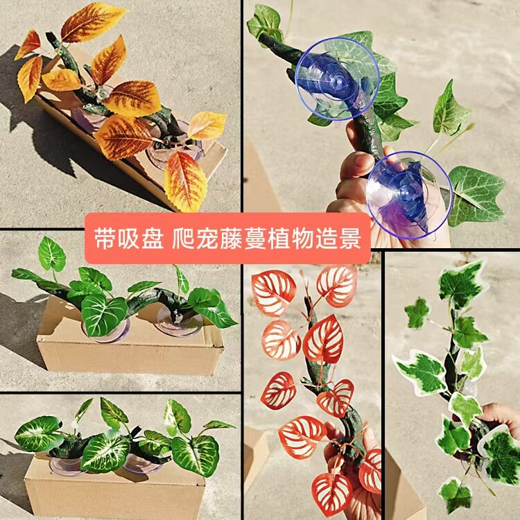 爬宠藤蔓带吸盘造景植物睫角守宫变色龙雨林玻璃缸缸攀爬树藤躲避