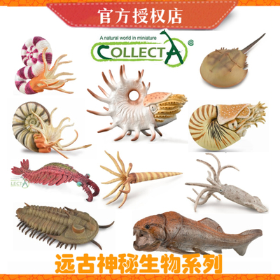 CollectA远古生物系列科普认知
