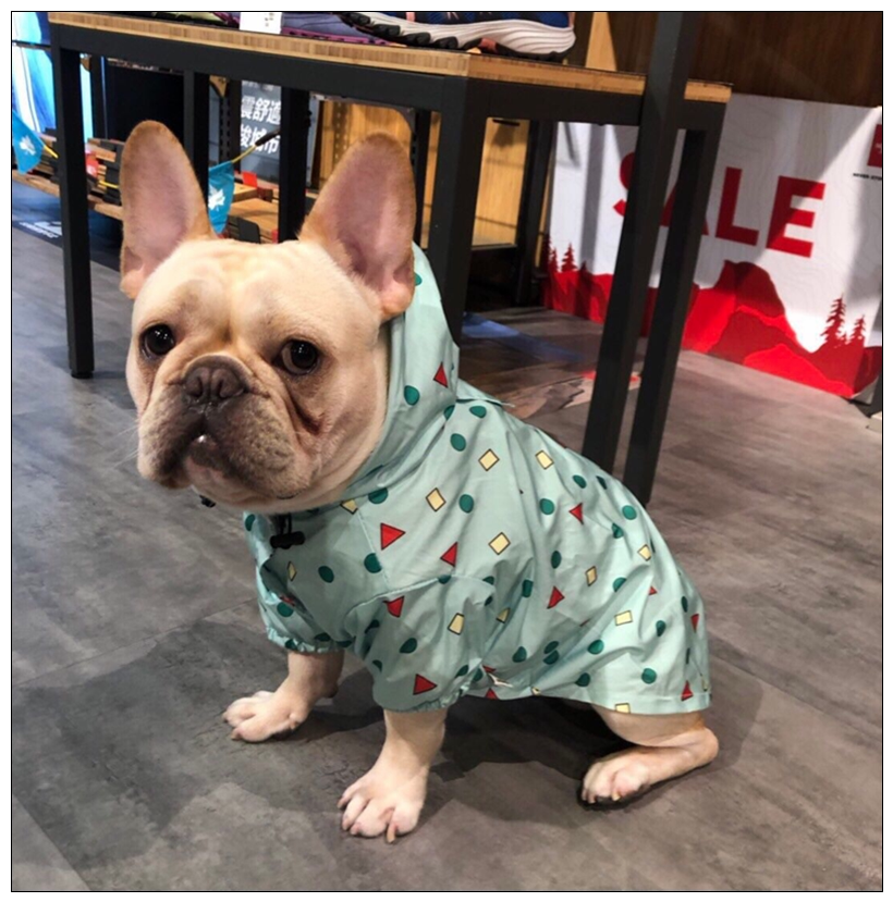 蜡笔小新印花泰迪比熊狗狗雨衣小型犬夏装新款柯基金毛大狗雨衣