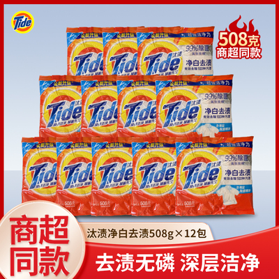 汰渍净白去渍洗衣粉508g