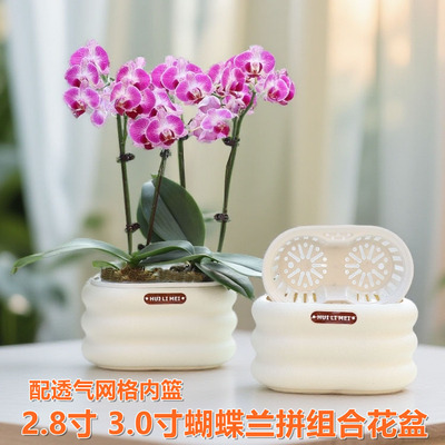 加厚蝴蝶兰花拼组合盆2.8寸3.0寸杯定植篮小盆栽土培水培储水套盆