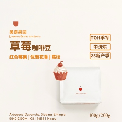 美盏草莓咖啡豆25产季TOH第3名G1