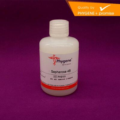 Sepharose4B实验专用Phygene