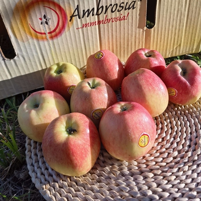 新西兰进口Ambrosia神仙果顺丰