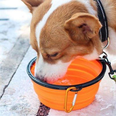 Summer Portable Pet Dog Water Bottle 300ml Drinking Bowl for