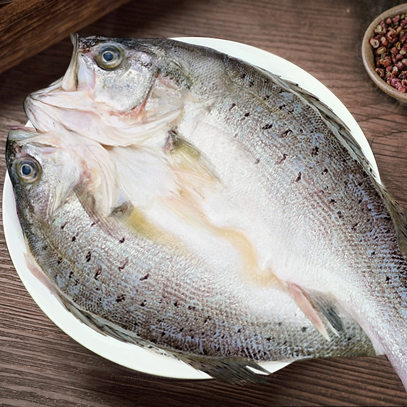 烤鱼950-1050g*10条大海鲈鱼活杀冰鲜带冰海鲈鱼纸包鱼腌制入味