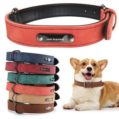 pet dog tag collar puppy cat id collars medium 宠物项圈狗圈