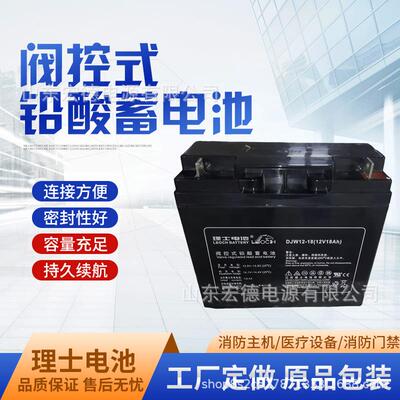 LEOCH理士蓄电池DJM1240S 铅酸免维护 12v40AH UPS电源 蓄电池