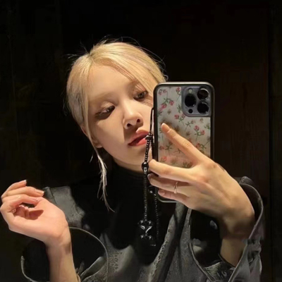 ins金属后背防摔苹果小众15pro