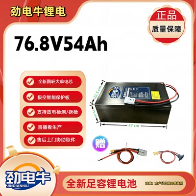 全新国轩A品76.8V54Ah锂电池