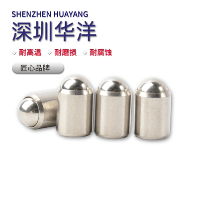 Press-Fit Plunger Stainless Steel Spring Ball Plungers D3-D6