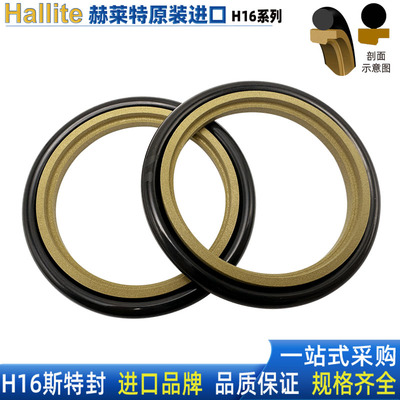 赫莱特HALLITE英国聚四氟斯特封