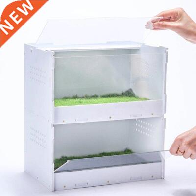 Reptile Breeding Box Acrylic Transparent Horned Frog Spider