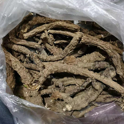 鸦葱伏牛山野生路路葱罗罗葱老观笔根土参根谷罗葱兔儿奶干品优质