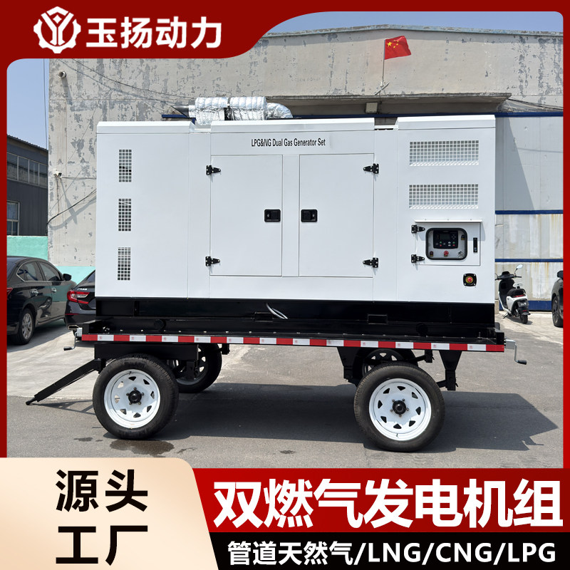 NG/LPG双气源发电机组 管道天然气液化石油气一键切换燃气发电机