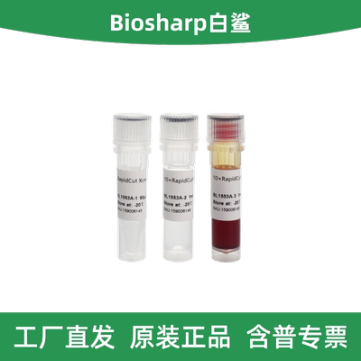 Biosharp白鲨RapidCutXcmI
