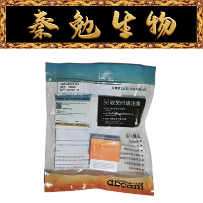 AbcamAnti-Iba1抗体ab283319