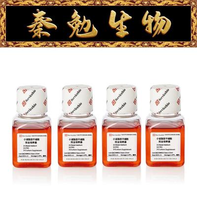 赛维尔小鼠脂肪干细胞完全培养基