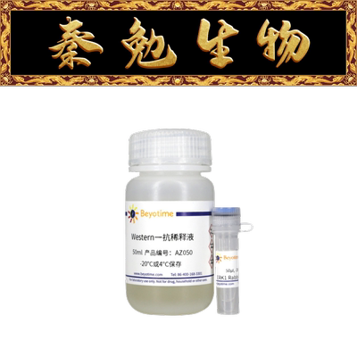 ERK1RabbitPolyclonalAntibody