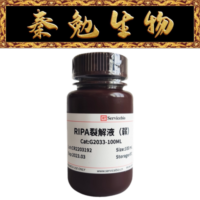 赛维尔RIPA裂解液G2033-100ML