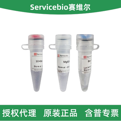 Servicebio赛维尔 G3403-1600U Bst DNA聚合酶，大片段