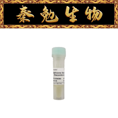 赛维尔GlutathioneReductase