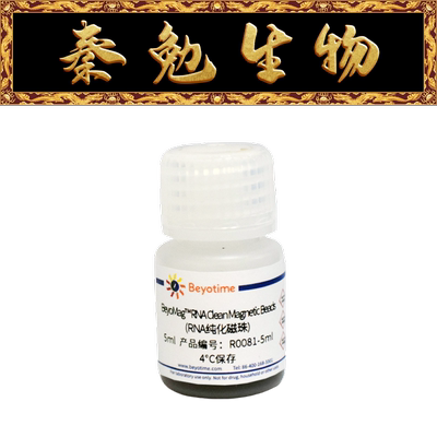 碧云天BeyoMag™RNA纯化磁珠