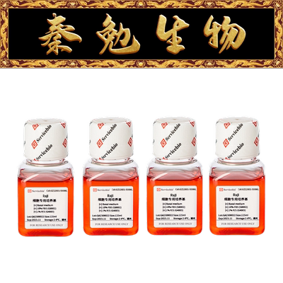 Raji细胞专用培养基赛维尔