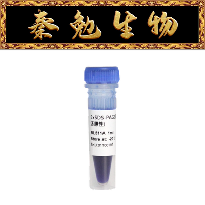 BiosharpSDS-PAGE蛋白上样缓冲液