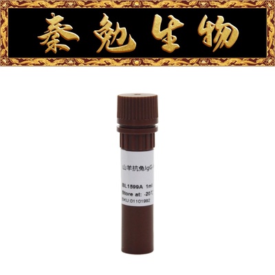 Biosharp白鲨羊抗兔IgG-HRP