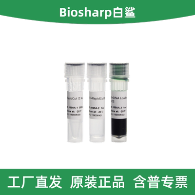 Biosharp白鲨RapidCutⅡAscI