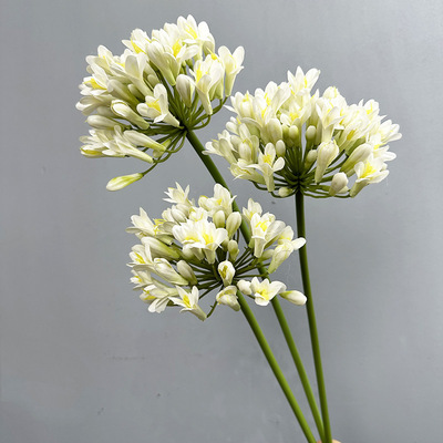 仿真百子莲韭葱花水墨紫假花花束家居装饰拍摄道具棱叶韭百子莲