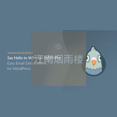 WP Mail SMTP Pro插件Wordpress电子邮件插件WP邮件配置联系表单