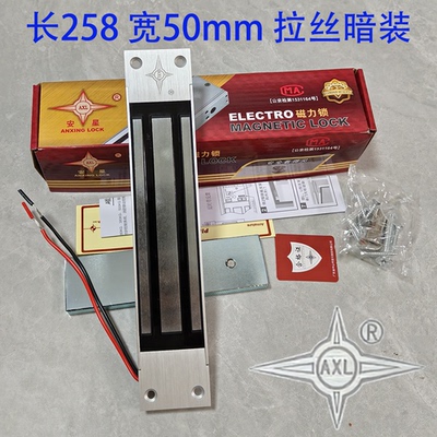 AXL安星嵌入式电磁锁12V/18V